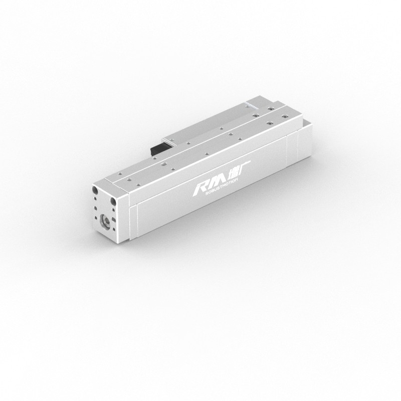 RM-RPLA 24V Servo Motor Electric Linear Slide Actuator، یک محور برای ...